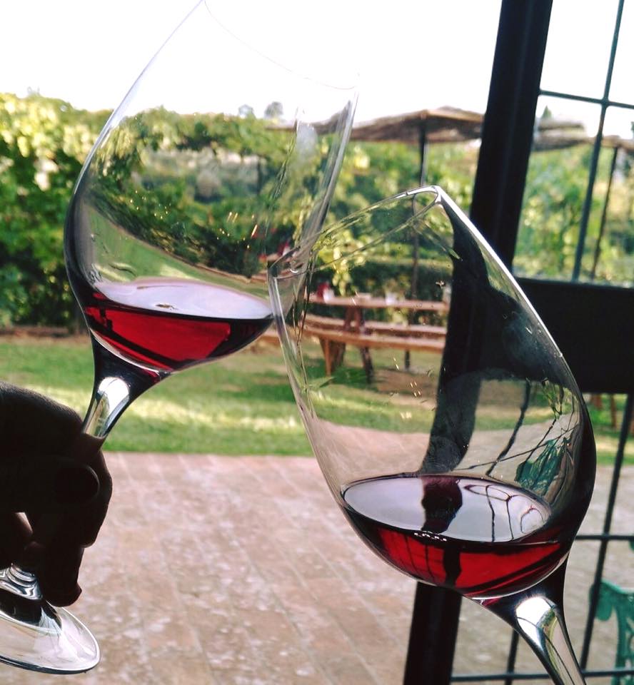 How to Organize a Perfect Wine tour... in 9 simple steps - La Marronaia