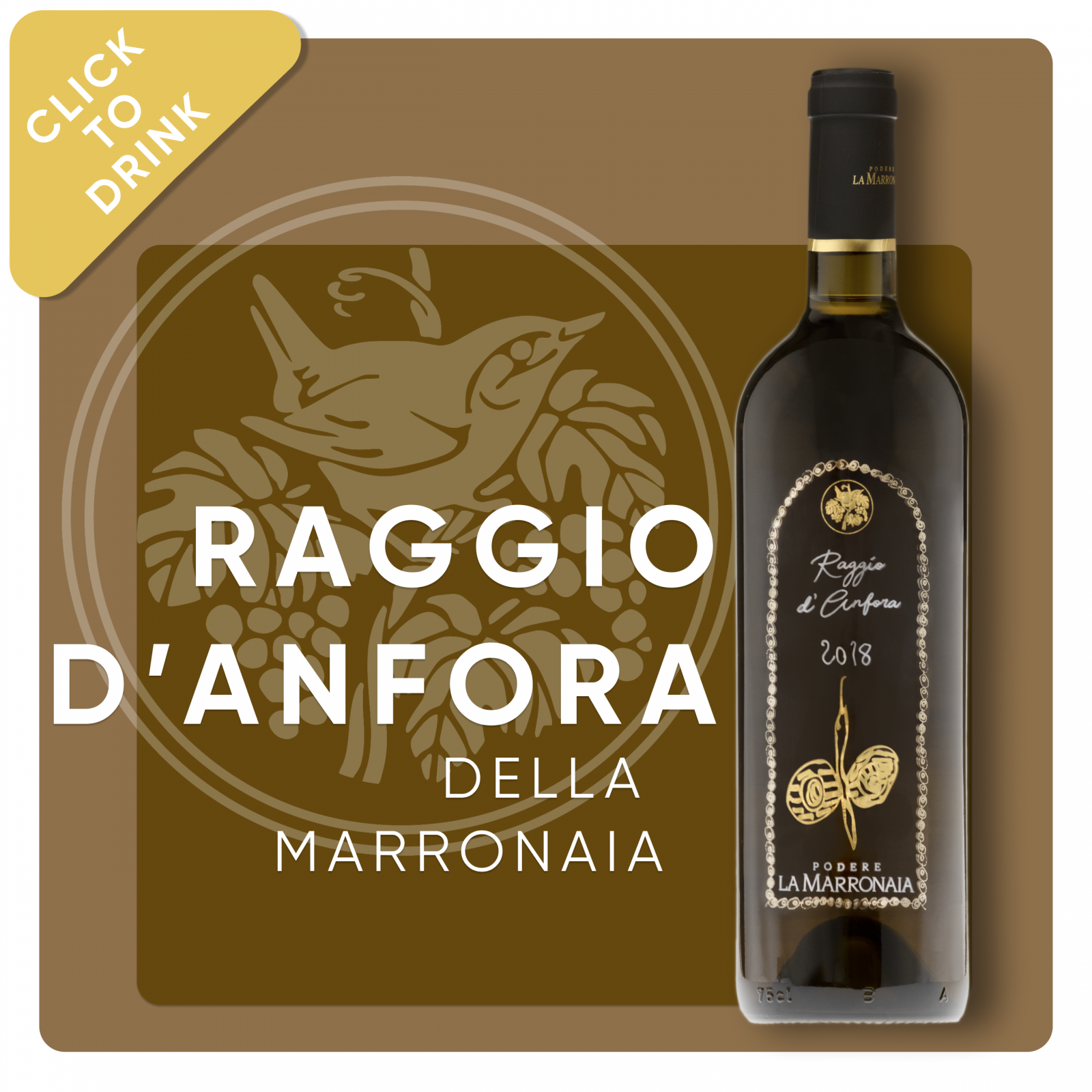 Discover Amphora Wine - At The Origins Of Innovation - 2022