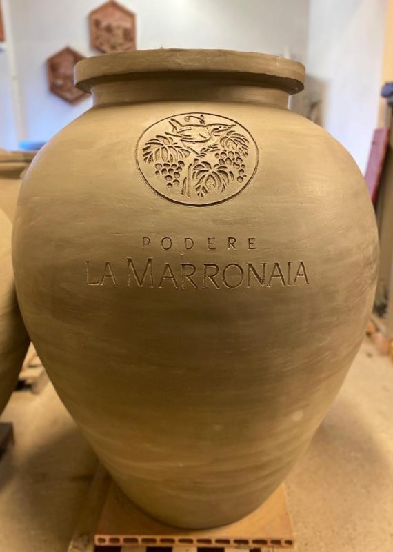 Discover Amphora Wine - At The Origins Of Innovation - 2022