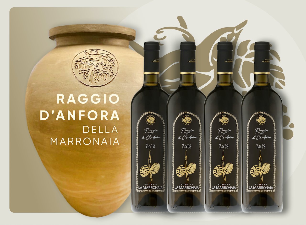 Discover Amphora Wine - At The Origins Of Innovation - 2022