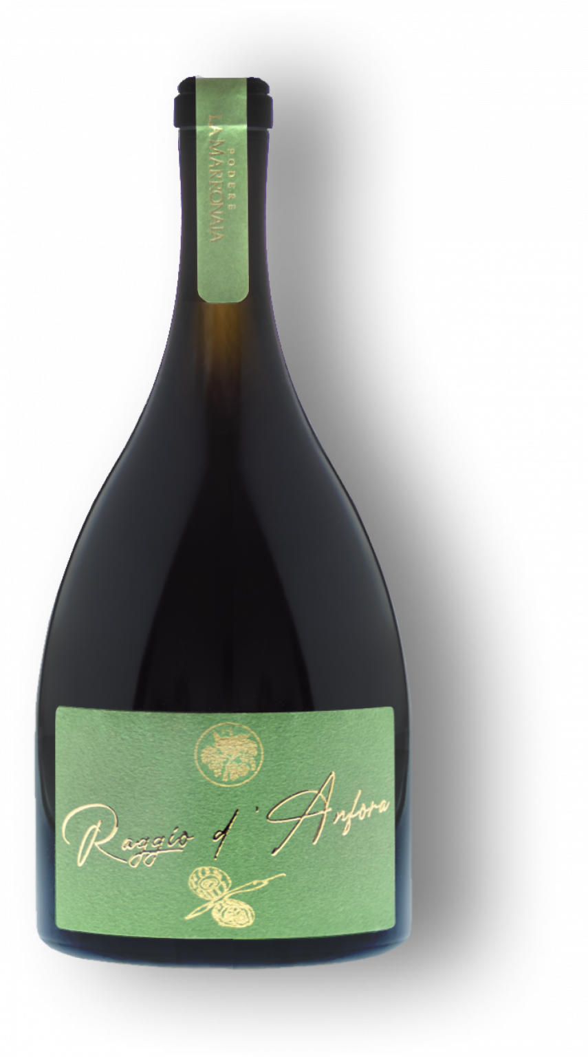 Raggio D' Anfora - Vernaccia in Terracotta