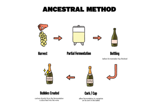 Differences between Charmat and Champenoise Method - La Marronaia